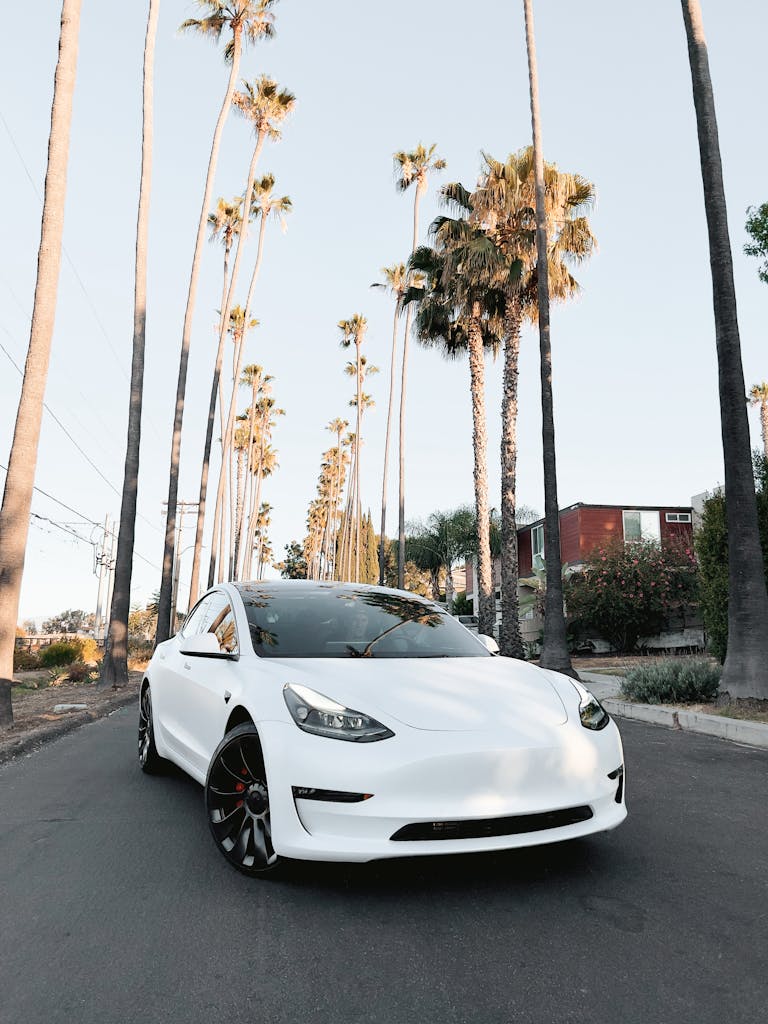 The Best Tires for Tesla Model Y